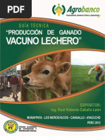 Sistema de Producción de Leche en Granjas Bovinas Familiares | PDF | Vacas | Leche