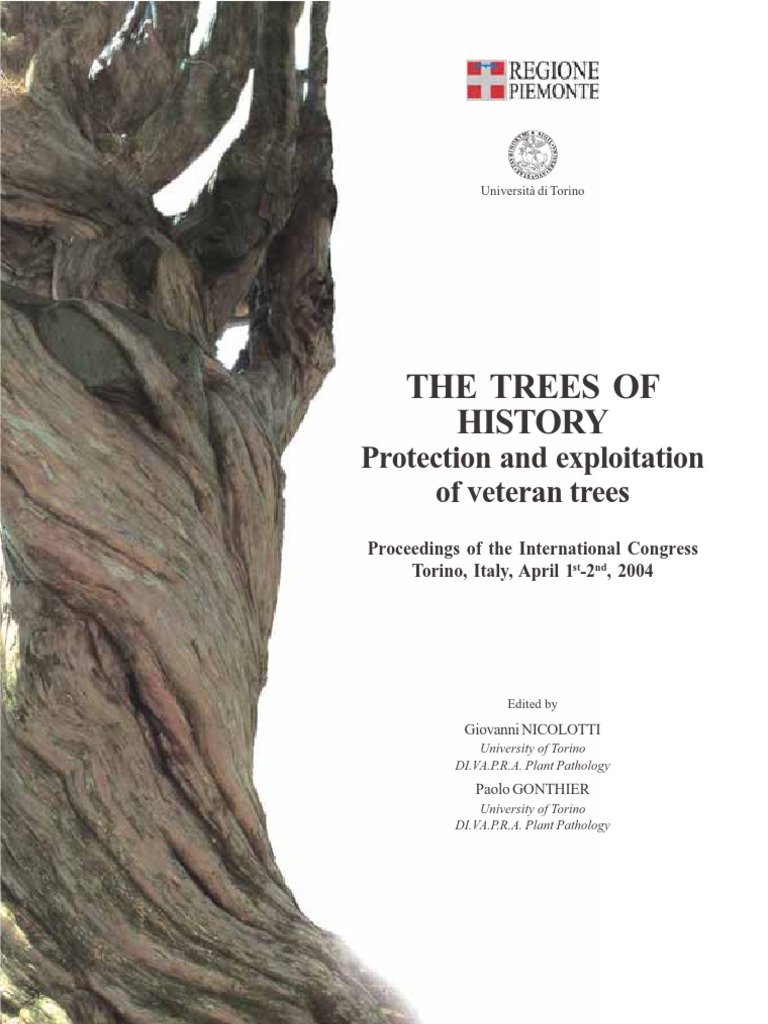 The Trees of History | PDF | Trees | Beech