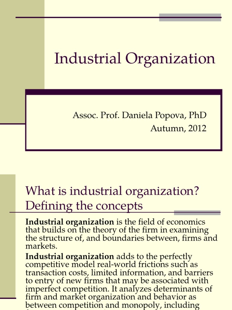 Understanding Industrial Organization Concepts | PDF | Oligopoly | Monopoly