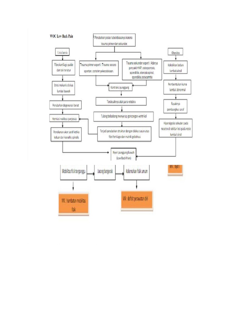 Woc LBP | PDF