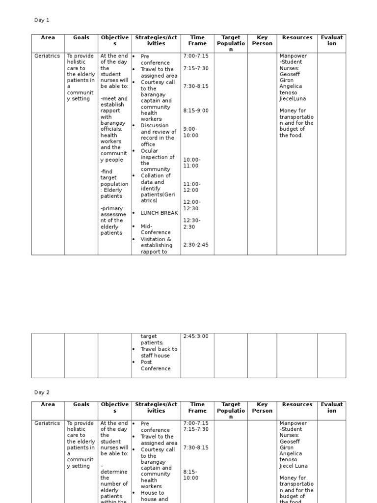 Action Plan Geria LUNA's | Download Free PDF | Geriatrics | Nursing