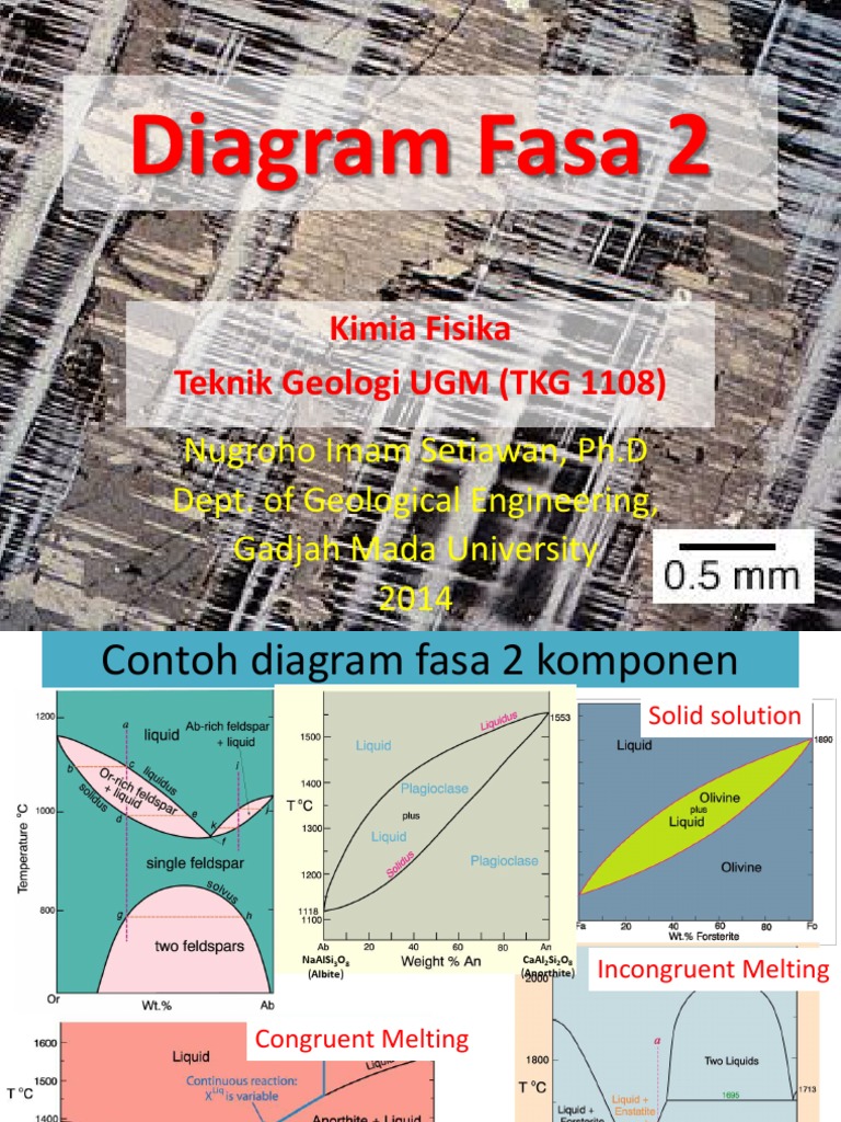 Diagram Fasa 2 Komponen Kimia Fisika | PDF | Metode & Bahan Ajar