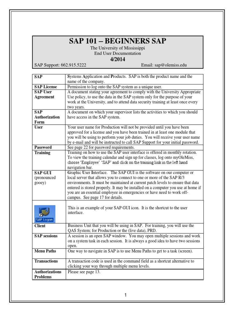 Sap 101 Beginners | PDF