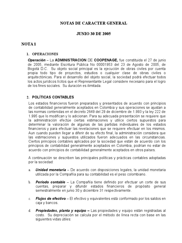 Ejemplo de Notas A Los Eeff | PDF | Depreciación | Contabilidad