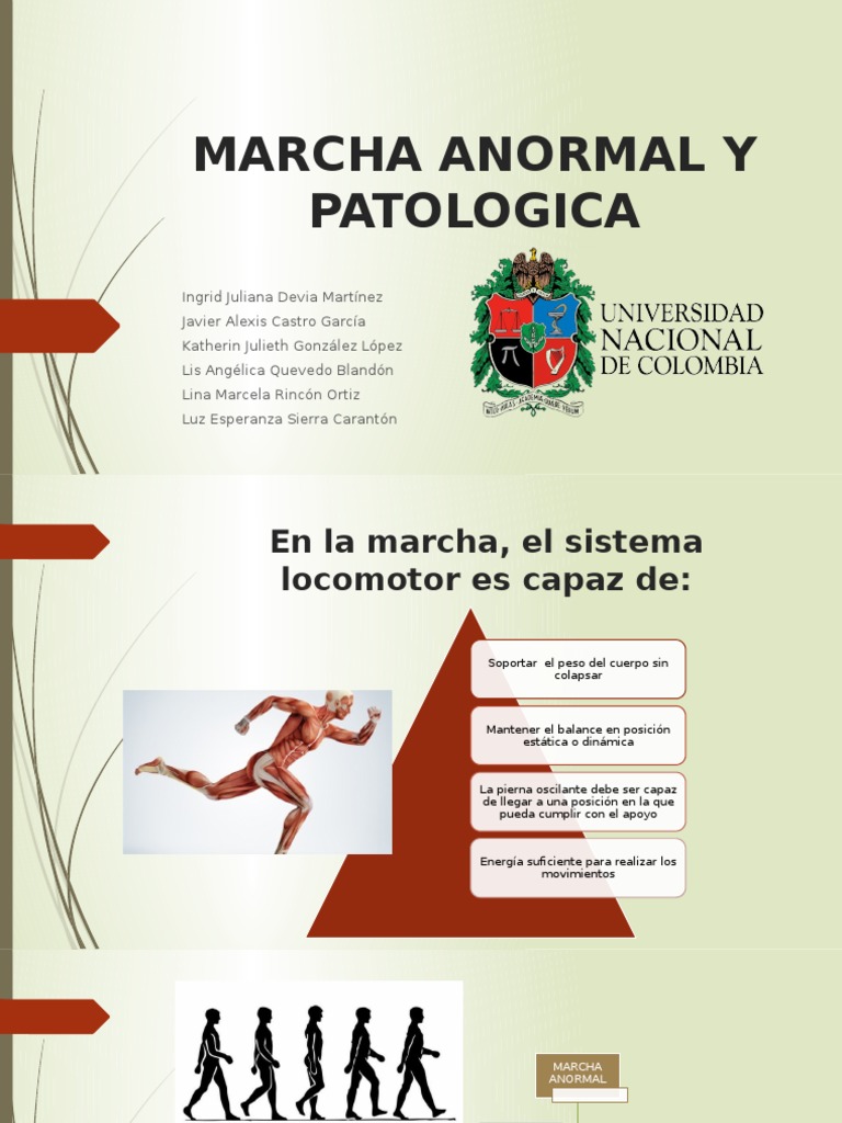 Marcha Anormal Y Patologica Pdf Pie Rodilla