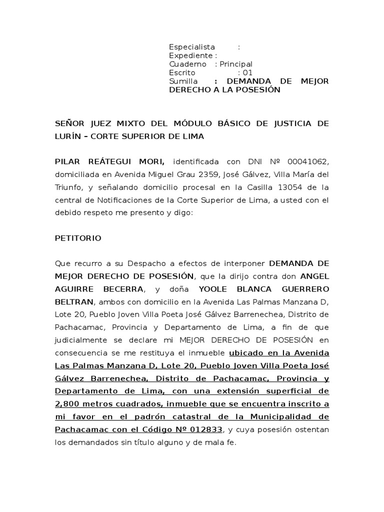 Demanda Mejor Derecho Posesion | PDF | Demanda judicial | Ley común