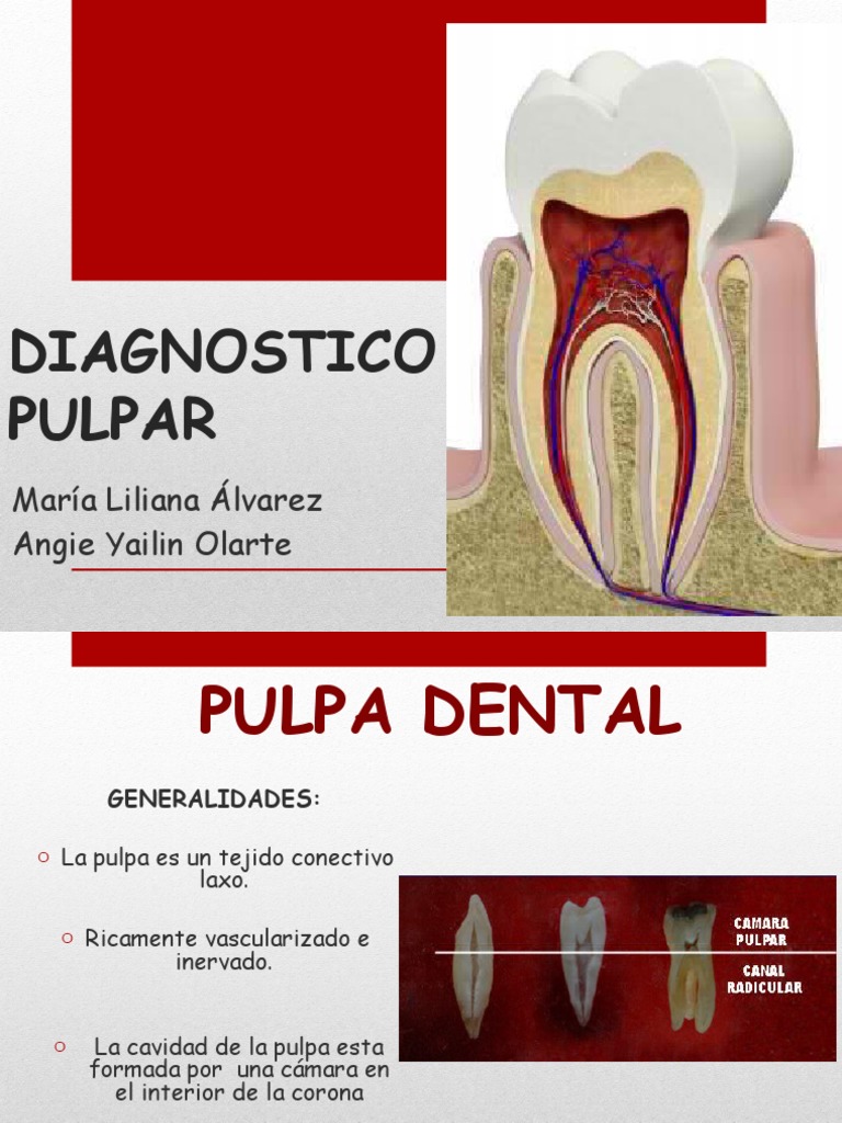 Diagnostico Pulpar | PDF | Ciencias de la Salud | Enfermedades y trastornos