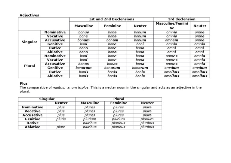 Latin 3rd Declension Adjectives Guide | PDF