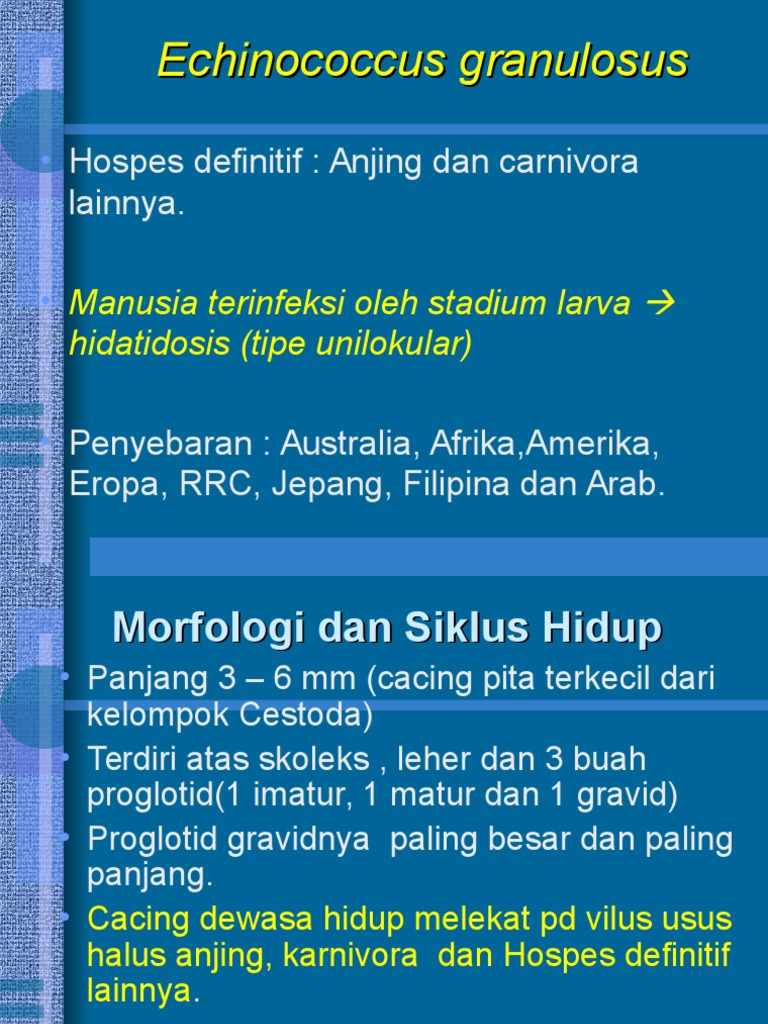 Multiceps SPP | PDF | Kesehatan Holistik