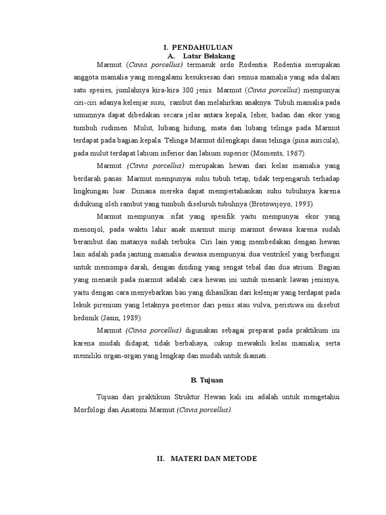 Laporan Anatomi Marmut | PDF