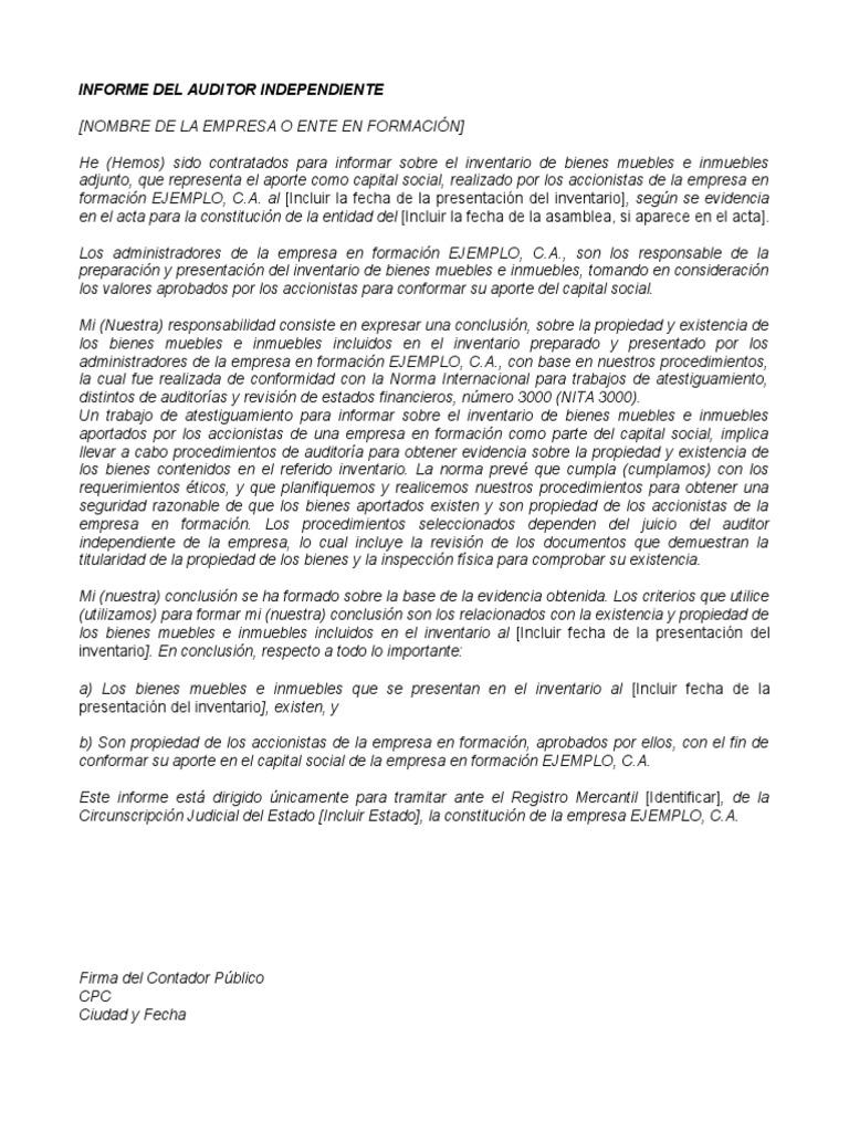 Informe Del Auditor Independiente | PDF | Auditoría financiera | Inventario