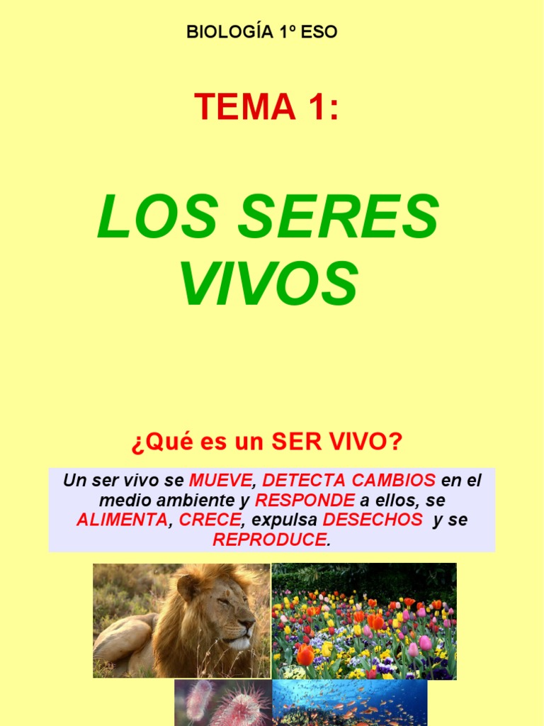 Características y Clasificación de los Seres Vivos | PDF | Biología ...