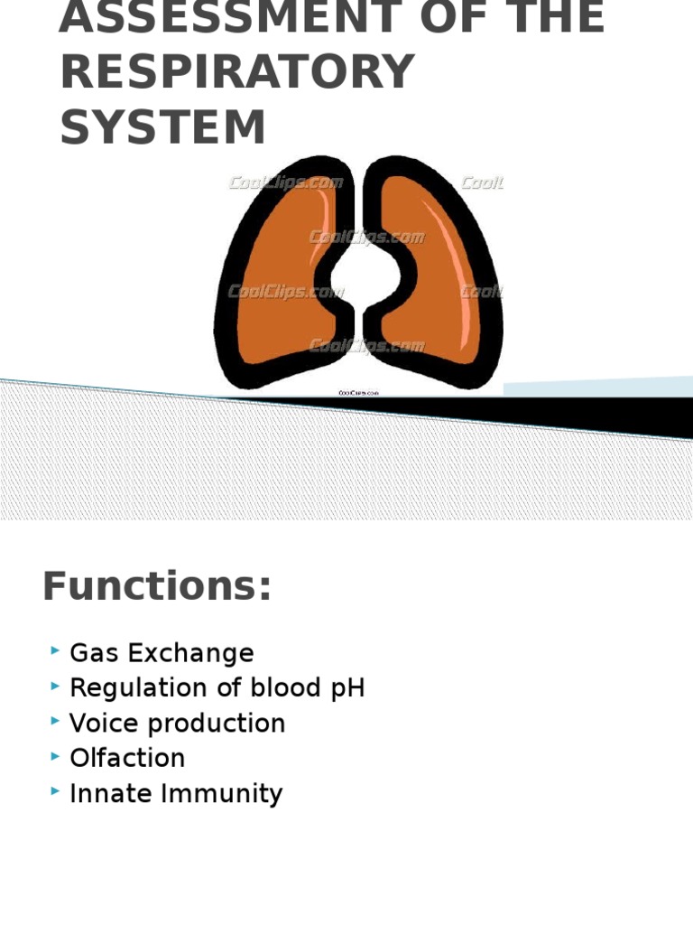 Respiratory Assessment Techniques | PDF | Respiratory System | Lung