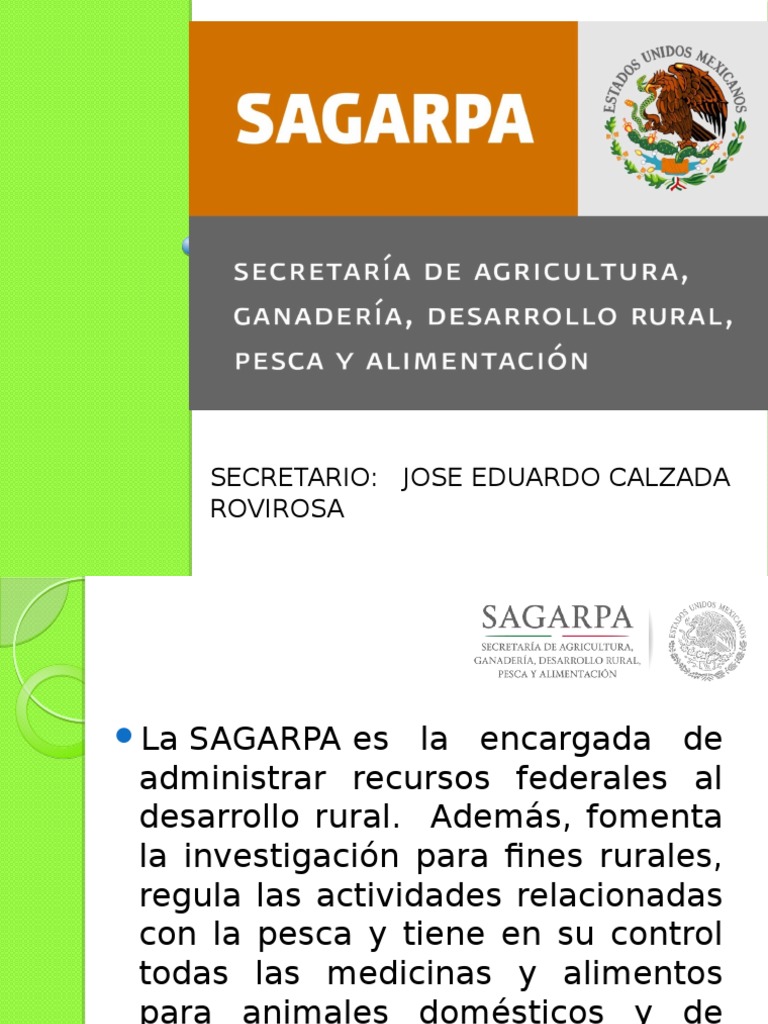 SAGARPA | Agricultura | Alimento y bebida