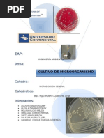Cultivo Axénico | PDF