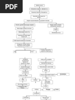 Woc Epispadia Dan Hipospadia | PDF