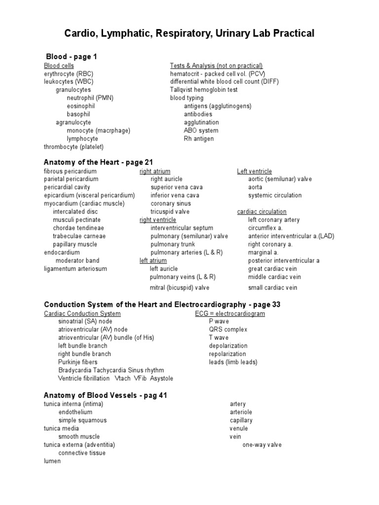 Cardio, Lymphatic, Respiratory, Urinary Lab Practical: Blood - Page 1 ...
