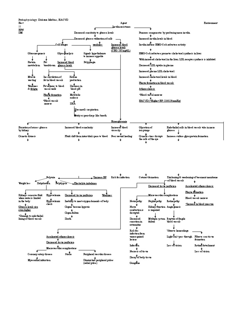Pathophysiology DM2, HACVD | PDF | Atherosclerosis | Blood Vessel