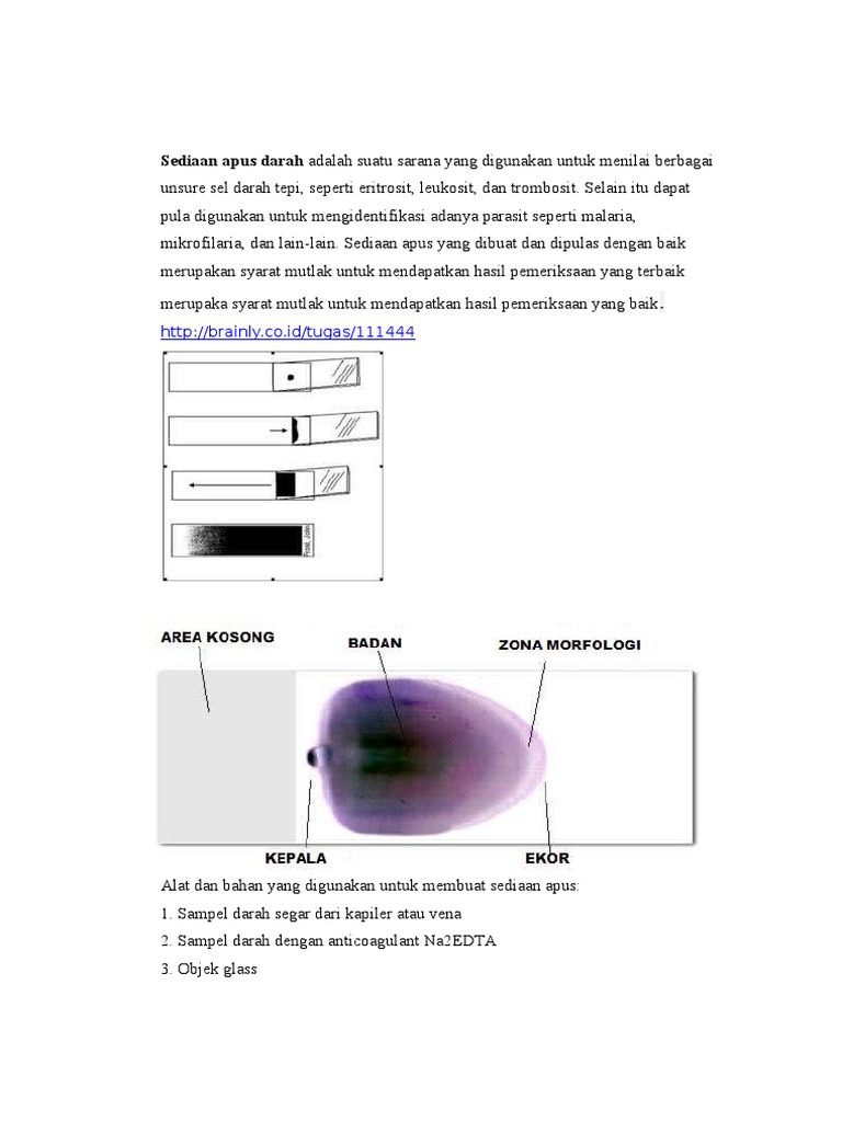 Metode Pembuatan Preparat | PDF | Kesehatan Holistik