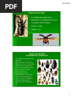PROTOCOOPERACIÓN | PDF | Insectos | Aves