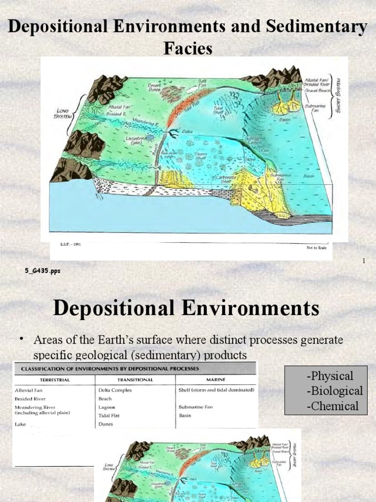 Depositional Environments and Sedimentary Facies: 5 - G435.pps | PDF ...