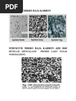 Besi Cor Nodular | PDF