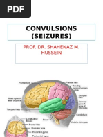 Seddon's Classification of Nerve Injury | PDF | Animal Anatomy ...