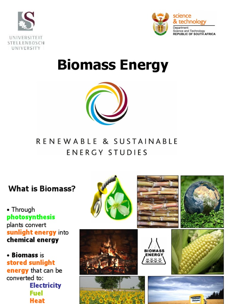 Biomass Energy PPT 13 | PDF