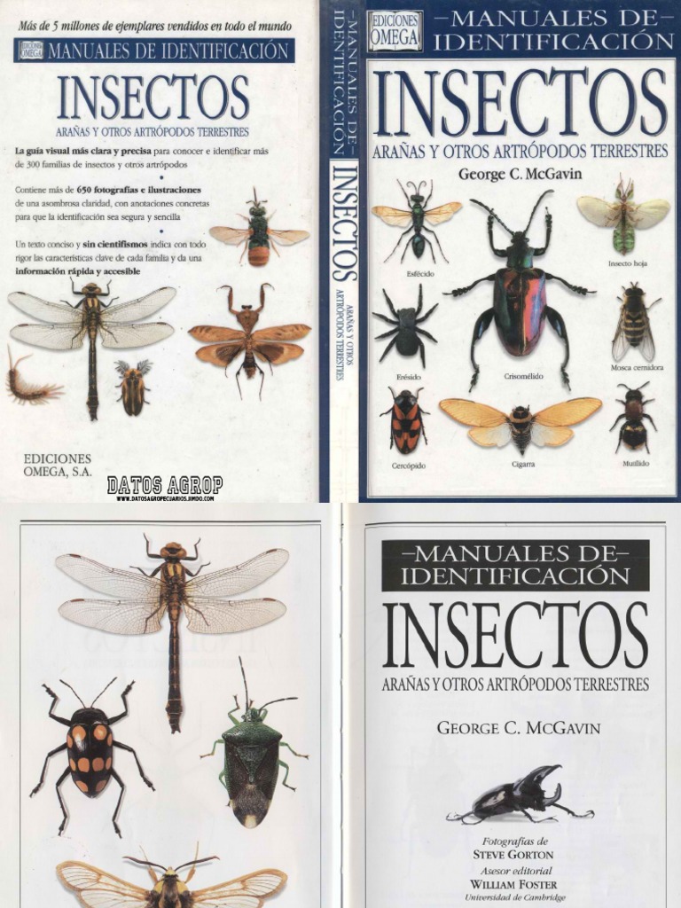 Insectos | PDF