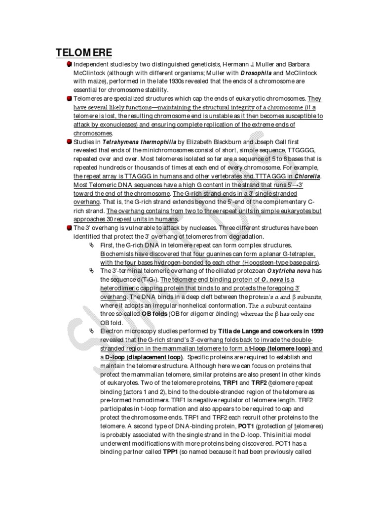 Telomere PDF | PDF | Telomere | Dna Replication