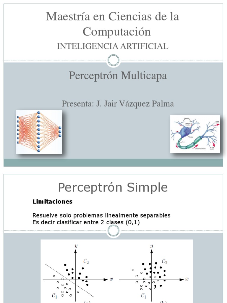 Perceptrón Multicapa y Backpropagation | PDF | Neurociencia Computacional | Algoritmos