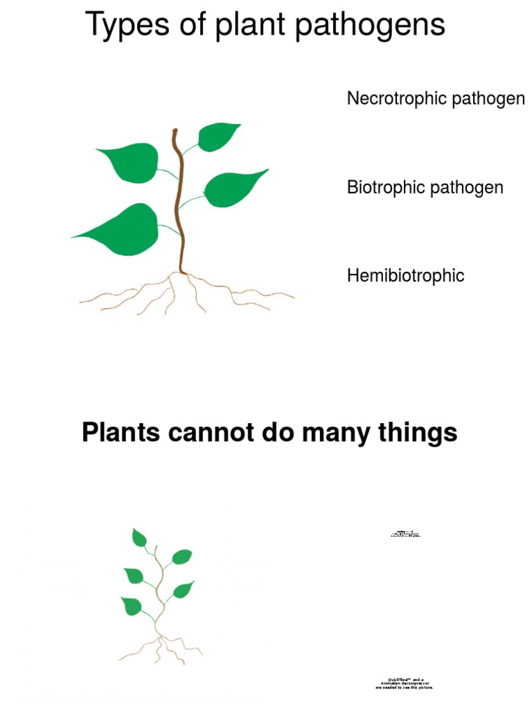 Types of Plant Pathogens | Branches Of Botany | Plants