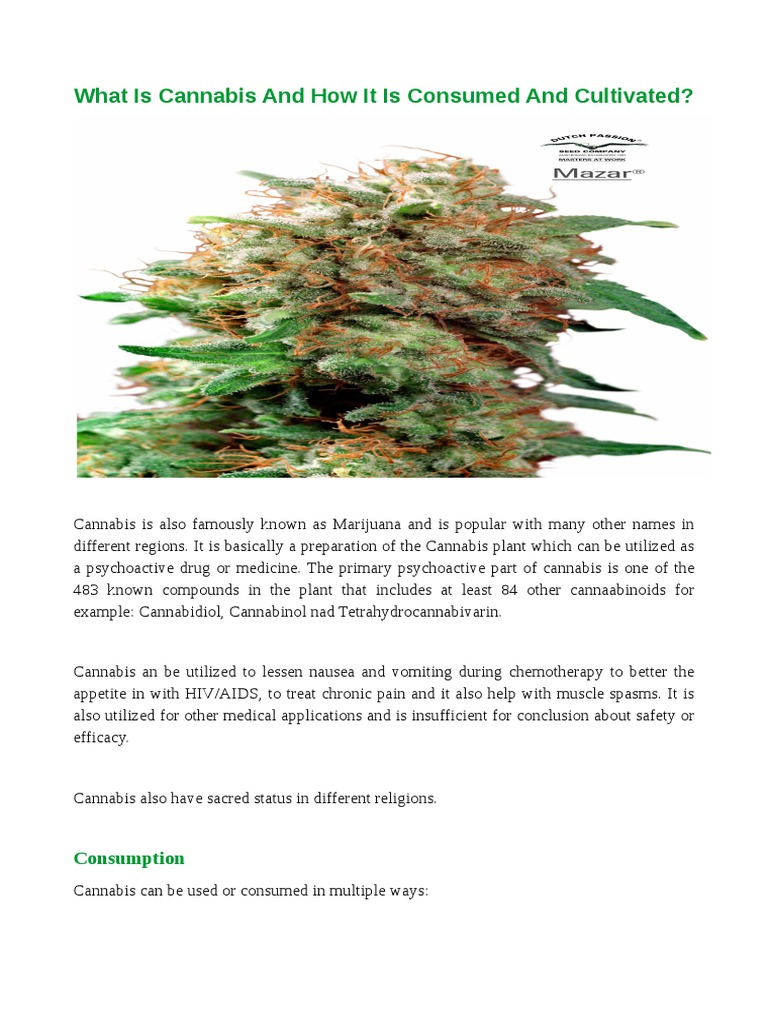 What Is Cannabis and How It Is Consumed and Cultivated? | PDF | Medical ...