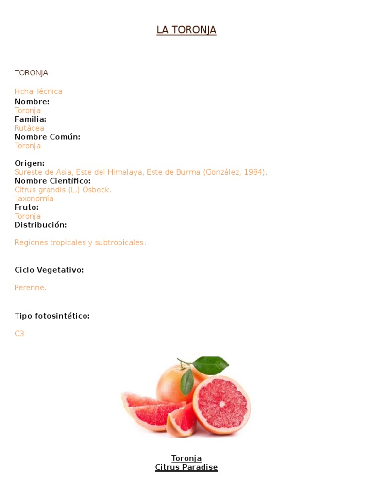 Las raíces de la toronja: Origen y desarrollo del cultivo | PDF ...