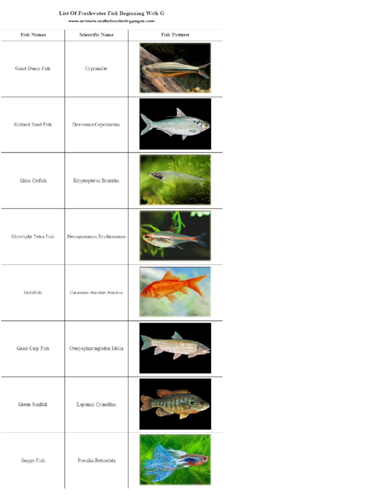 List of Freshwater Fish Beginning With G | PDF | Fish | Aquaculture
