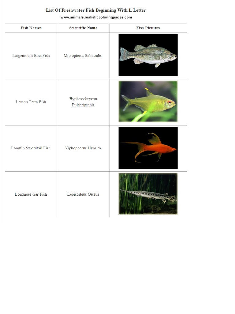 List of Freshwater Fish Beginning With L | PDF