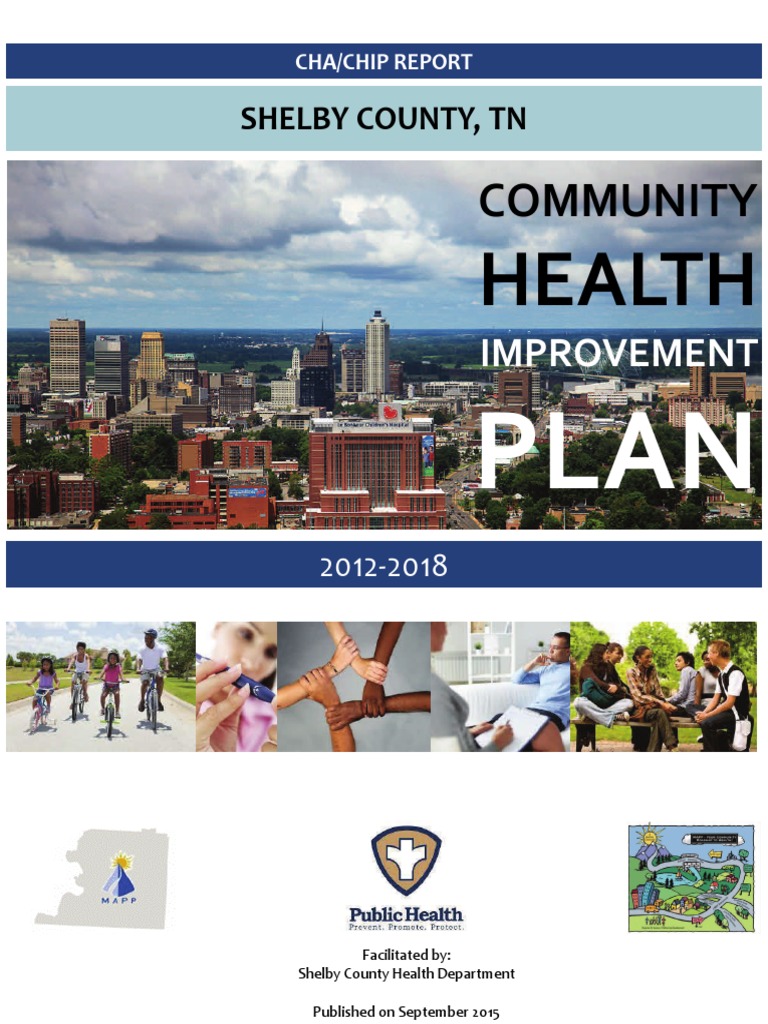 Community Health Improvement Plan | Download Free PDF | Preventive ...