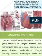 Bentuk Dada Normal dan Abnormal | PDF | Kajian Bahasa Asing | Sains ...