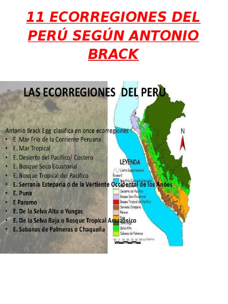 11 Ecorregiones Del Perú Según Antonio Brack (1) | Andes | Clima