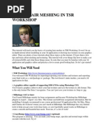 Editor - Meshcapade Mes! | PDF