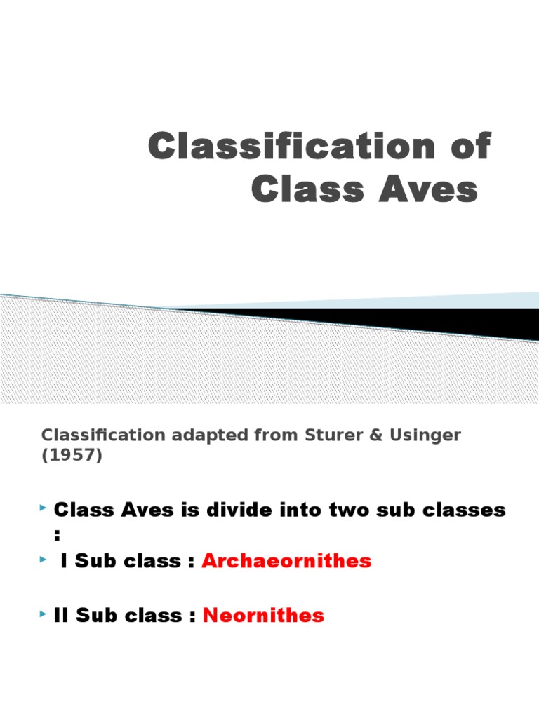 Classification of Class Aves | Birds | Feather
