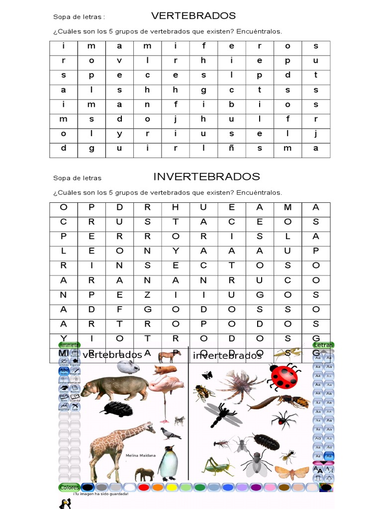 Sopa de letras: vertebrados e invertebrados | PDF | Artes del Lenguaje ...