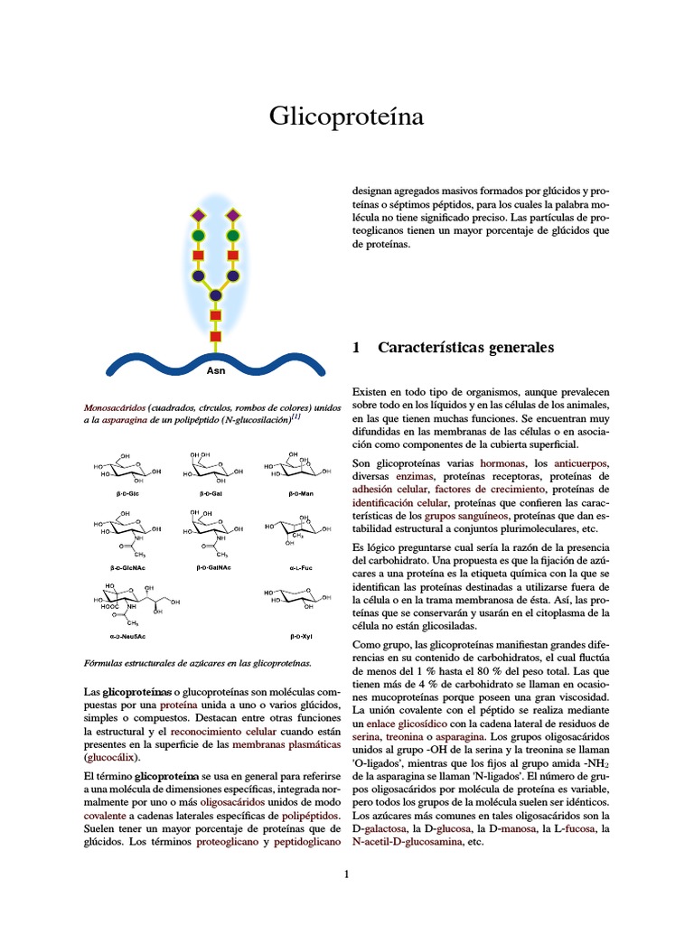Glicoproteína | PDF | Biología Molecular | Biomoléculas