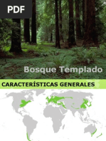 Método de Tres Bolillo | PDF