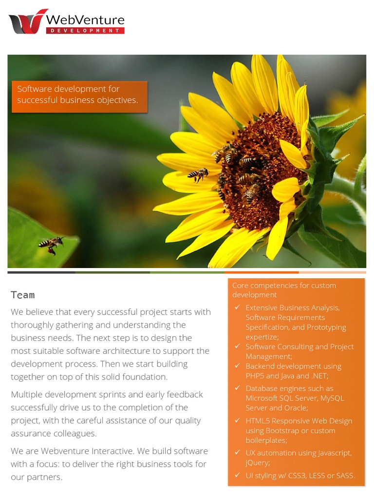 WebVenture Development Presentation | PDF | Scrum (Software Development) | Systems Engineering