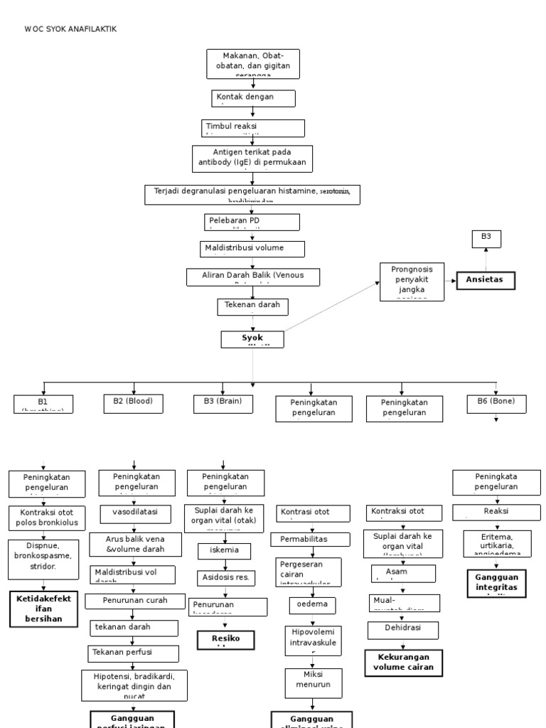 Woc Syok Anafilaktik | PDF