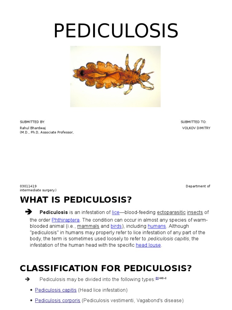 Pediculosis Corpus