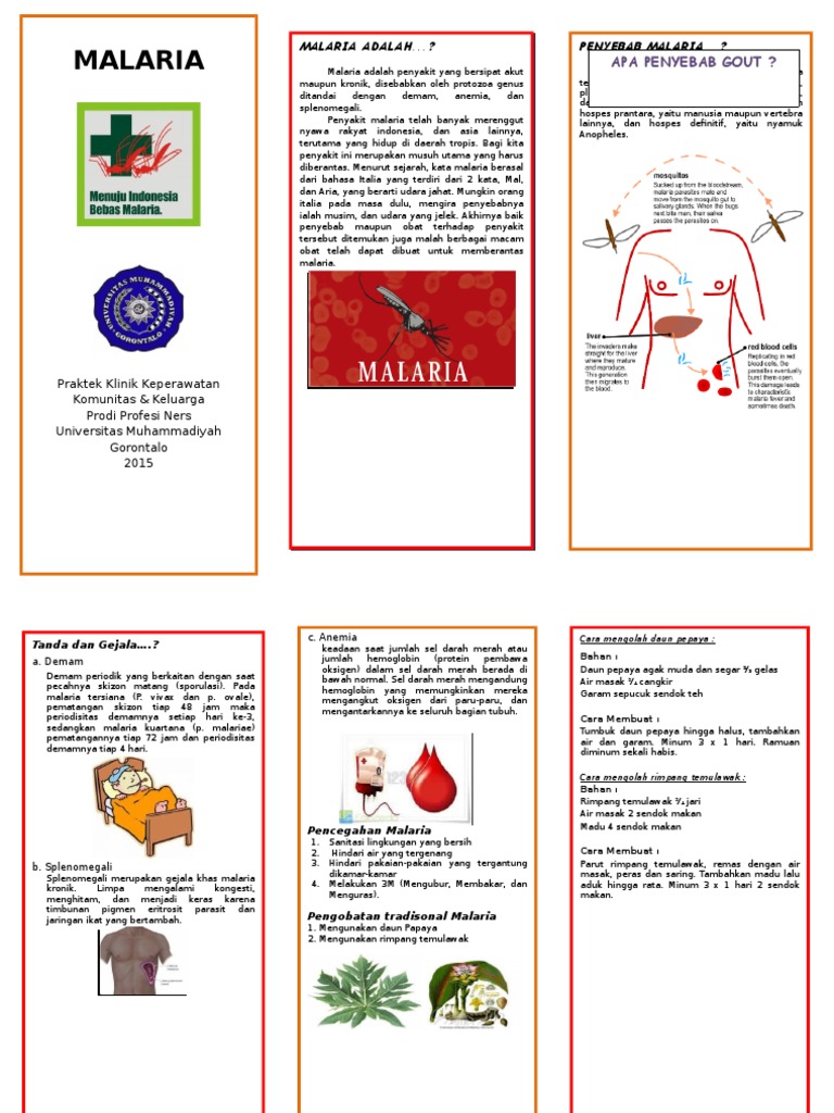 Leaflet Malaria Jadi | PDF | Griya & Taman | Kesehatan Holistik