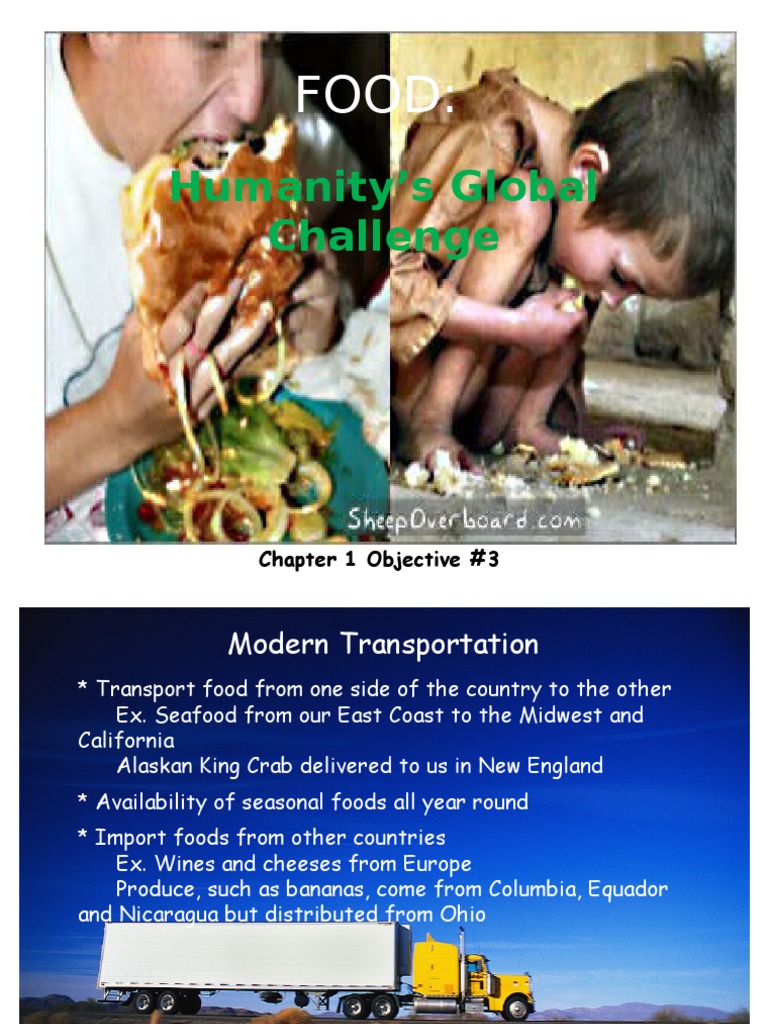 Global Food Supply Challenges Explained | PDF | Natural Disasters | Foods