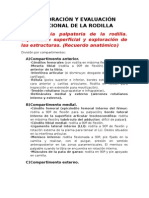 Signo del Témpano y Fabela en Rodilla | PDF | Rodilla | Pie
